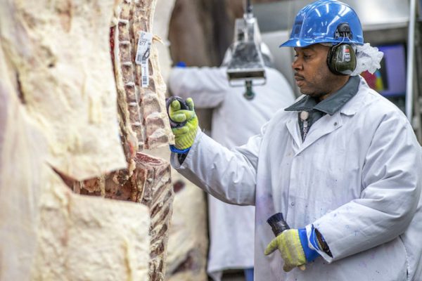 Meat and Poultry Regulatory Guidance – Association of Food and Drug ...