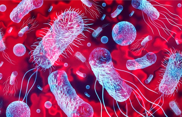 Norovirus at Retail – Association of Food and Drug Officials